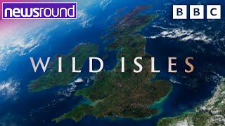 Learn English through Video David Attenborough's New BBC Series Wild ...