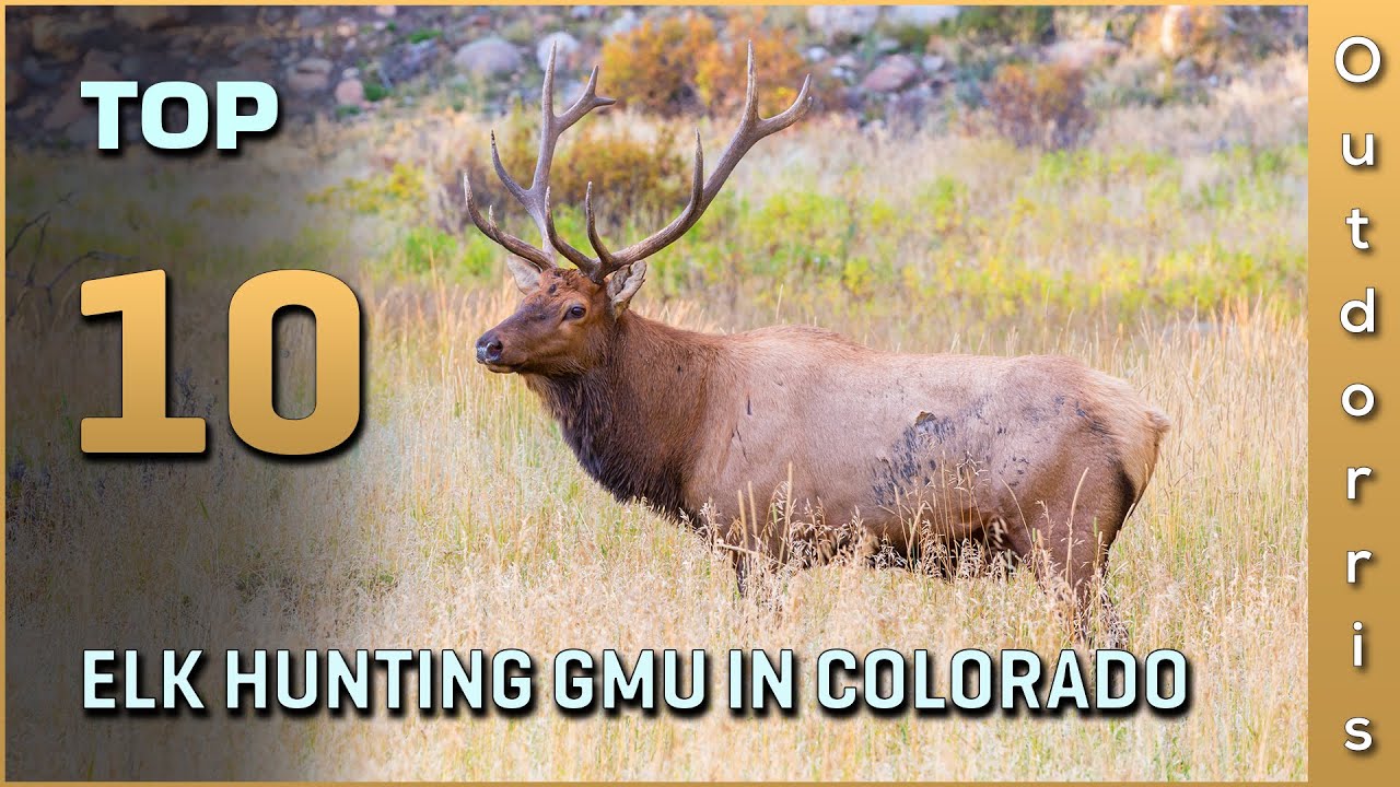Top 10 Elk Hunting GMU in Colorado