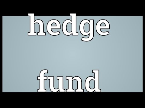 Hedge fund Meaning