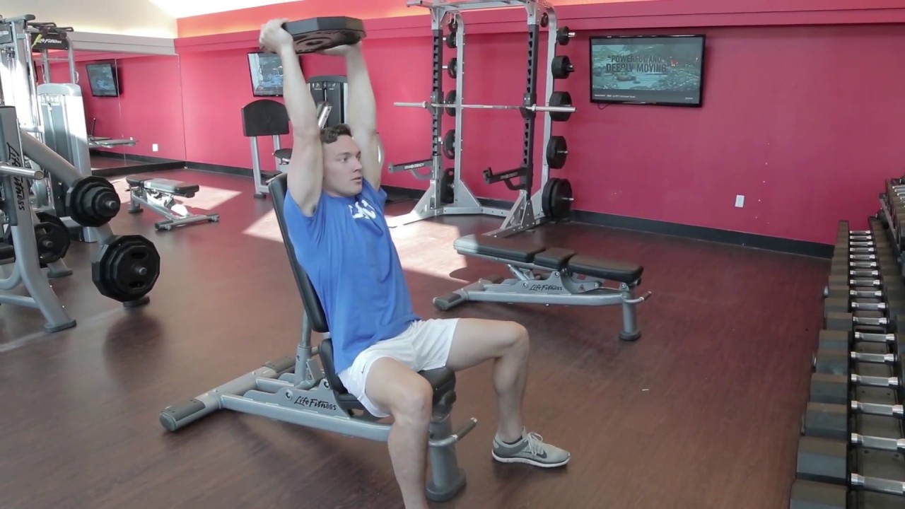 Seated Plate Shoulder Press