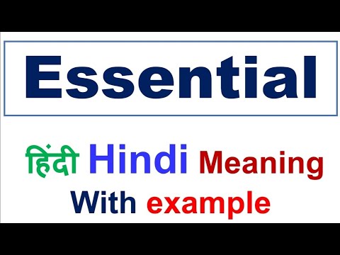 Essential meaning, essential hindi meaning, essential antonym, essential synonym