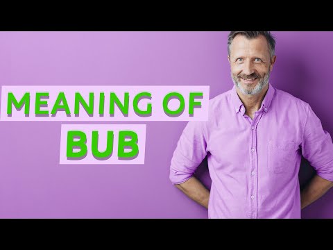 Bub | Definition of bub 📖