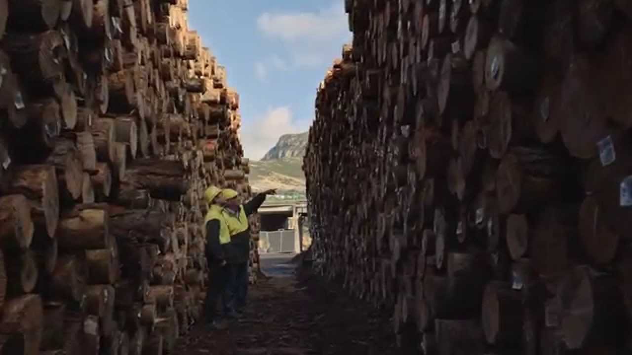 Forest Management Group