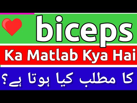 Biceps Meaning In Urdu | Biceps Ka Matlab Kya Hota Hai | Biceps Ka Meaning Kya Hai | Biceps Ka Matla