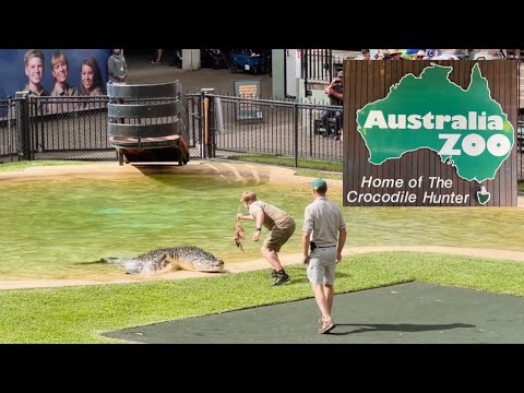 Crocodile ๐ VS Robert and Terri Irwin | Australia Zoo 2021