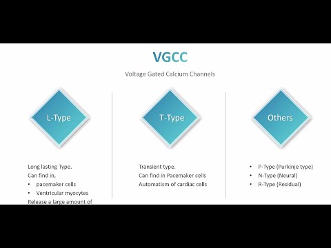 Types of Voltage Gated Calcium Channels (VGCC).