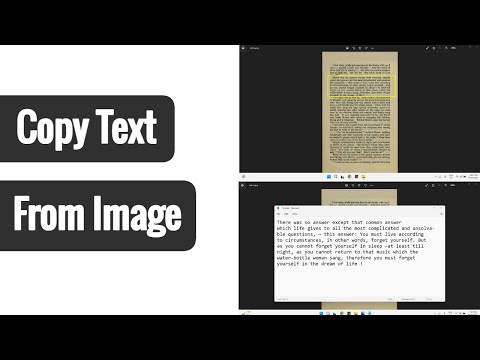 How to Copy Text from Image on Windows 11