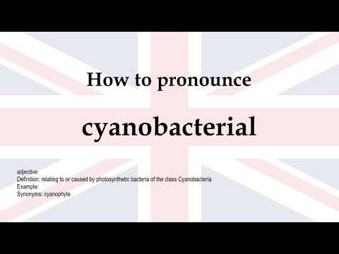 How to pronounce 'cyanobacterial' + meaning