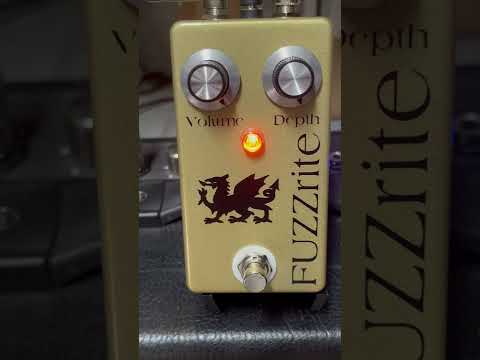 PedalPCB Germanium Starboard fuzz 2022 (Fuzzrite clone) | Reverb