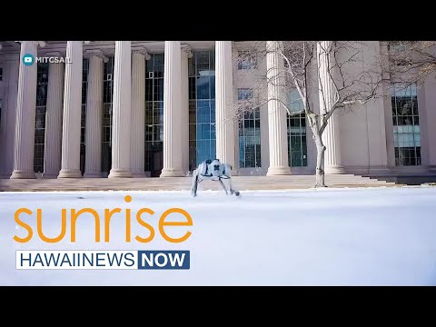 What's Trending: MIT designs all-terrain AI robot