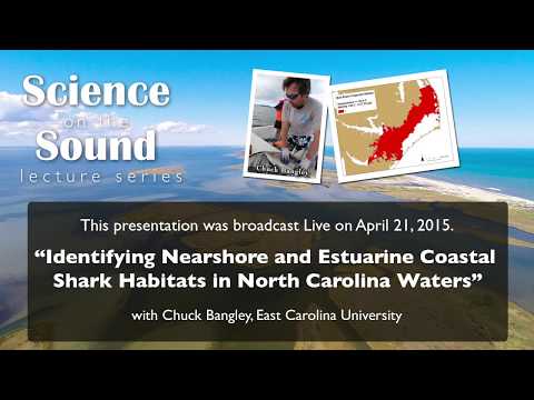 Shark Habitats in North Carolina Waters