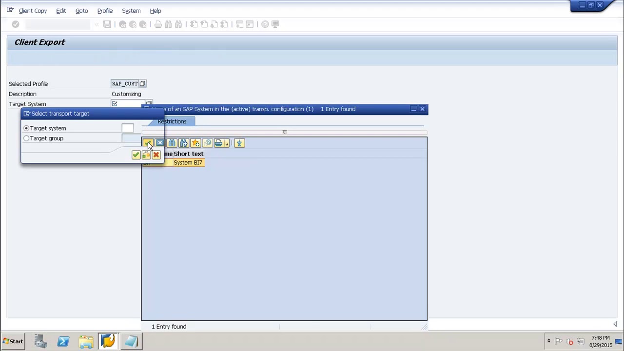 SAP Basis - Import Export Client