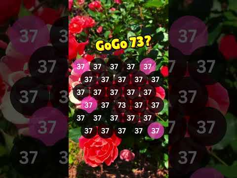 Challenge yourself to figure out the number 73