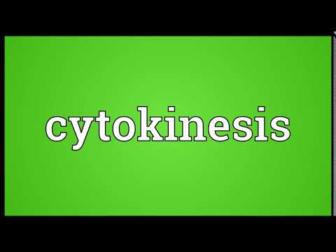 Cytokinesis Meaning | Wordogram