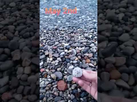 Petoskey stones and waves.. oh my!!! #petoskey #rockhounding #asmr #waves #corgisdoingthings