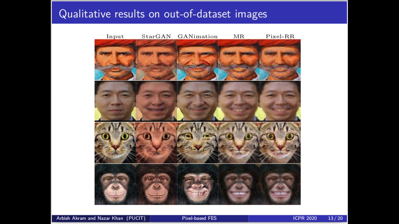 Pixel-based Facial Expression Synthesis