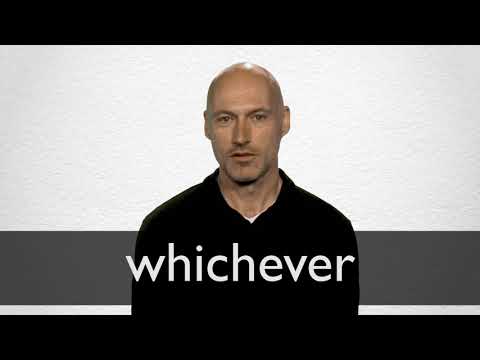 WHICHEVER 释义 | 柯林斯英语词典