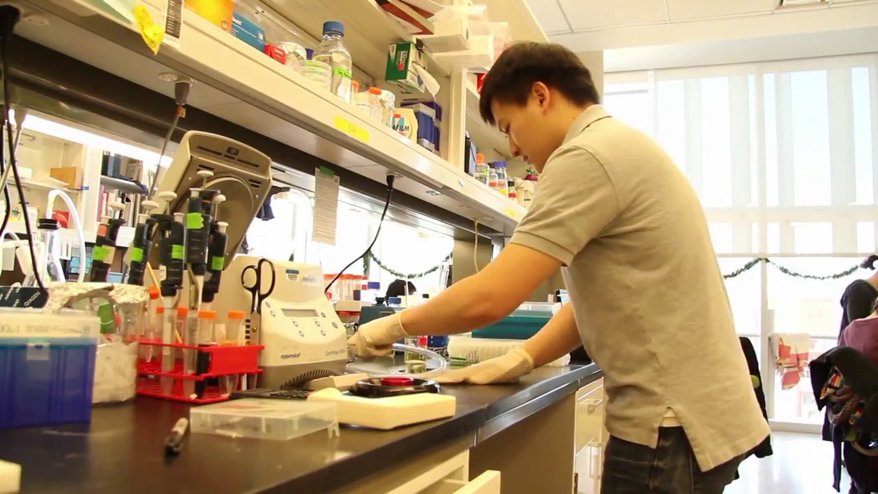 To Find Something New: Undergraduate Research Spotlight