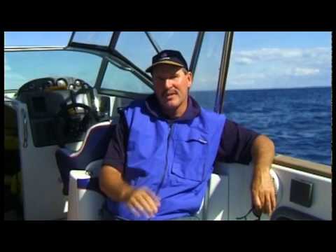 Te Kaha, NZ snapper - GONE FISHIN' "Blast from the Past"