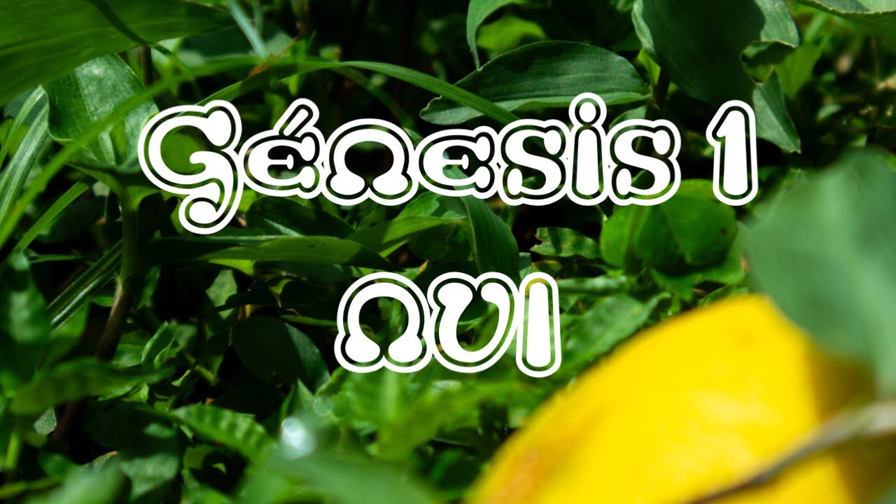 Génesis Capítulo 1 NVI Nueva Versión Internacional
