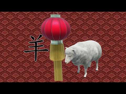 Chinese Zodiac Signs Explained (Personality Traits, Best Love Matches)