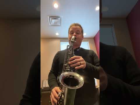 Cannonball "Raven" Big Bell Stone Series Alto Saxophone | Reverb