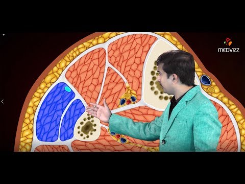 Common peroneal nerve Animation: Superficial peroneal nerve, Deep peroneal nerve: Dr G Bhanu Prakash