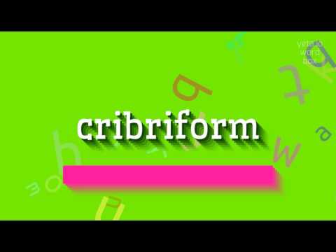 How to say "cribriform"! (High Quality Voices)