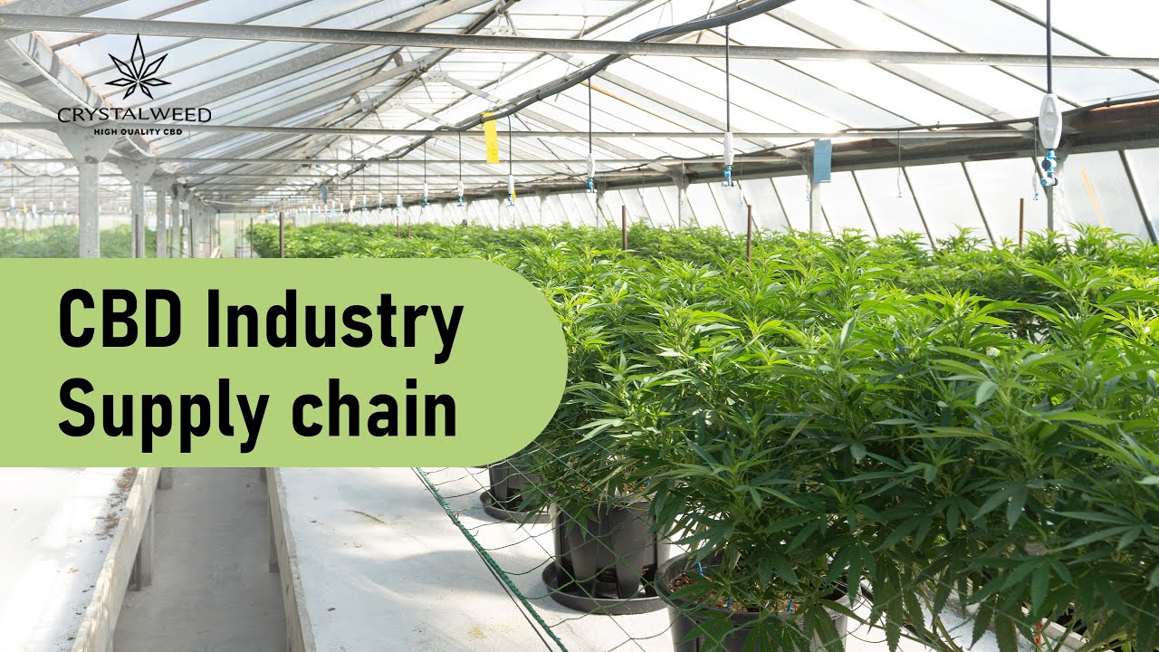 Industry supply chain