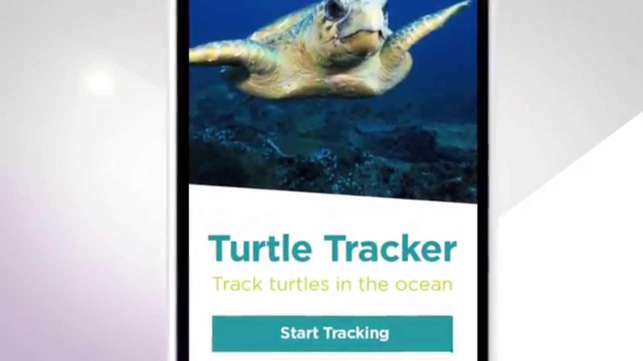 Turtle Tracker App