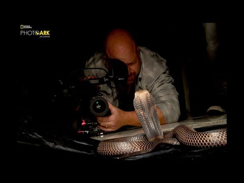 Once snake bitten, but not camera shy