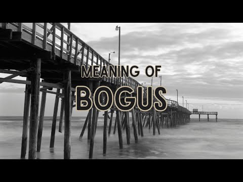 What is the meaning of Bogus?