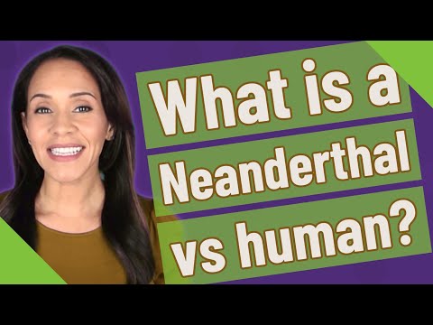 What is a Neanderthal vs human?