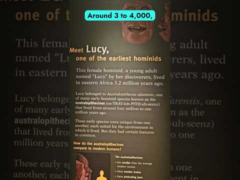 Discovering Our Origins: The Story of Lucy and Selam. #HumanEvolution #LucyFossil #Australopithecus