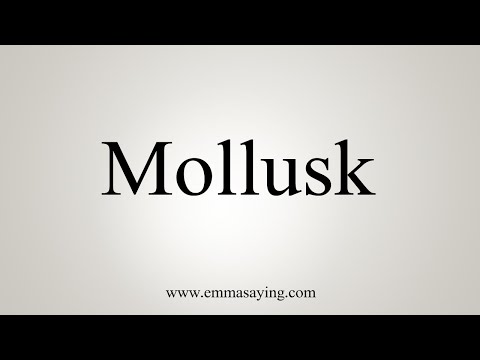 How To Say Mollusk