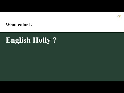 English Holly color #274234 hex color - Green color - Warm color 274234