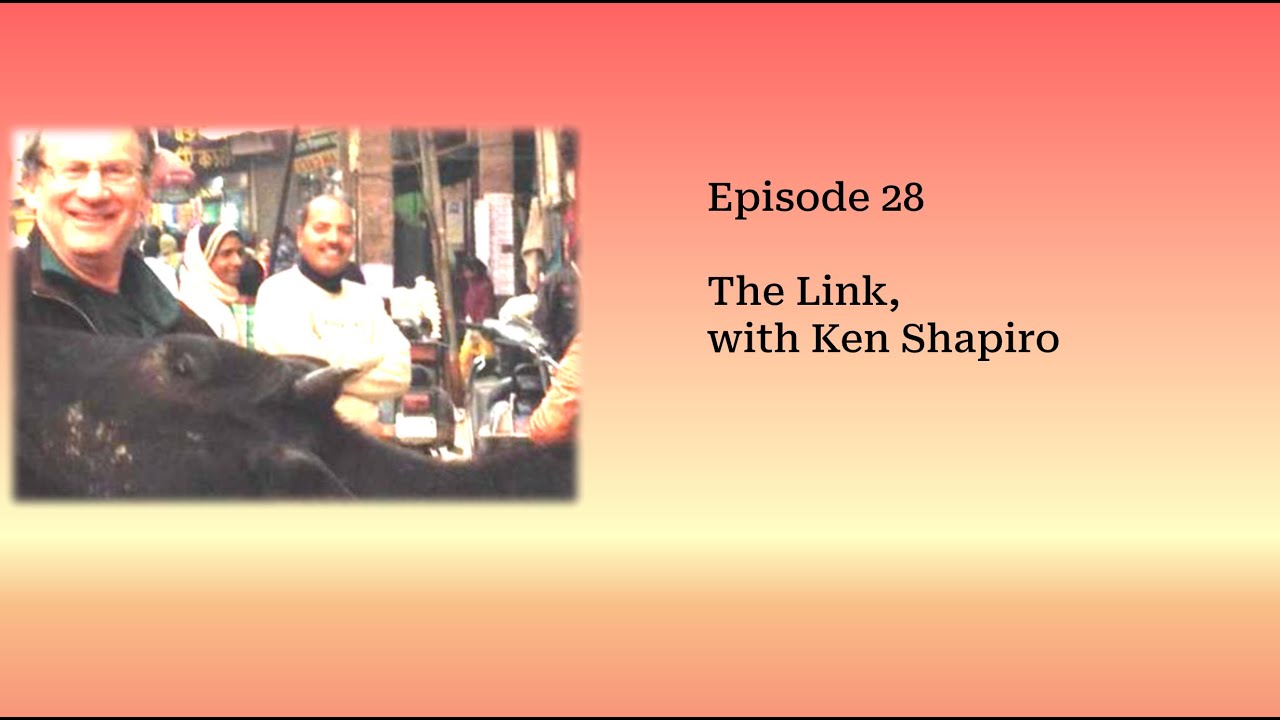 Ep 28 The Link, with Ken Shapiro