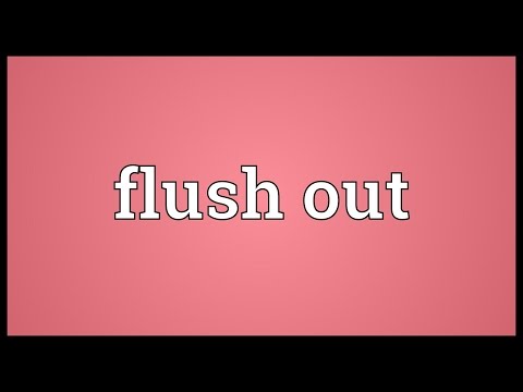 Flush out Meaning