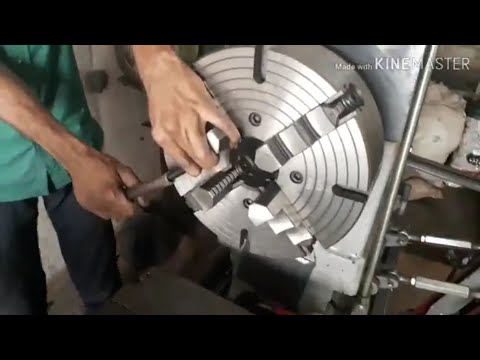 Dog Chuck at Best Price in India