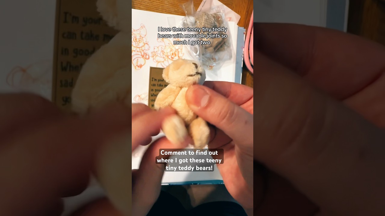 I love these teeny tiny teddy bears #vlog #plushie #teddybear #giftideas #tinygift