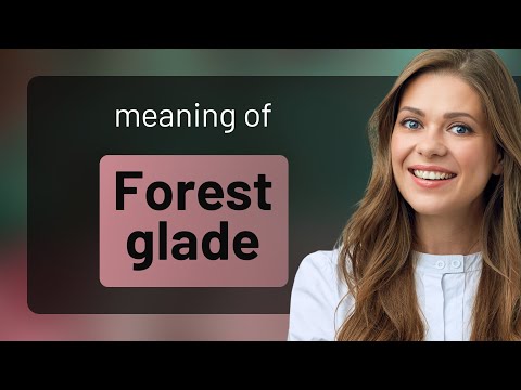 Discover the Serenity: Understanding "Forest Glade"