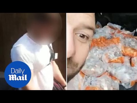 Man pays £1,200 bailiffs debt with a boot full of 1p pieces