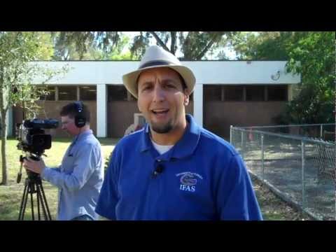 Day in the Life of IFAS - Michael Gutter, Family Economics