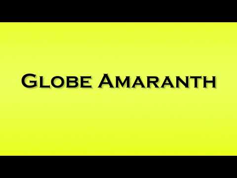 Pronunciation of Globe Amaranth
