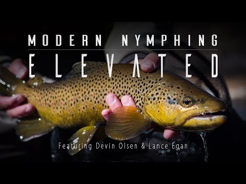 Interview: Lance Egan, Team USA – BlogFlyFish.com