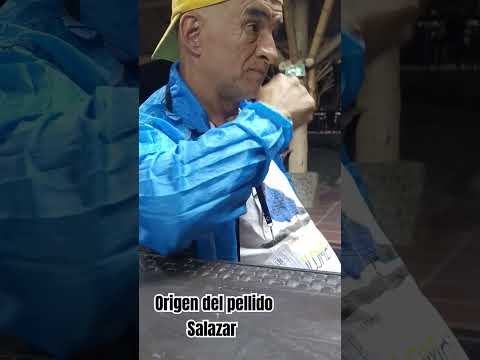 origen del apellido salazar