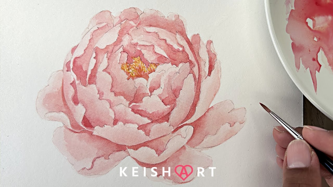 Watercolour Basic Lesson for Beginners | Tutorial How to Paint Flower Peony