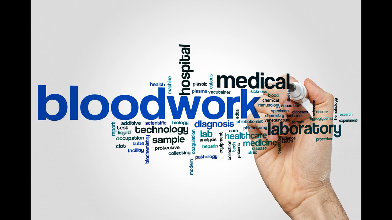 Phlebotomy Career Training School Info