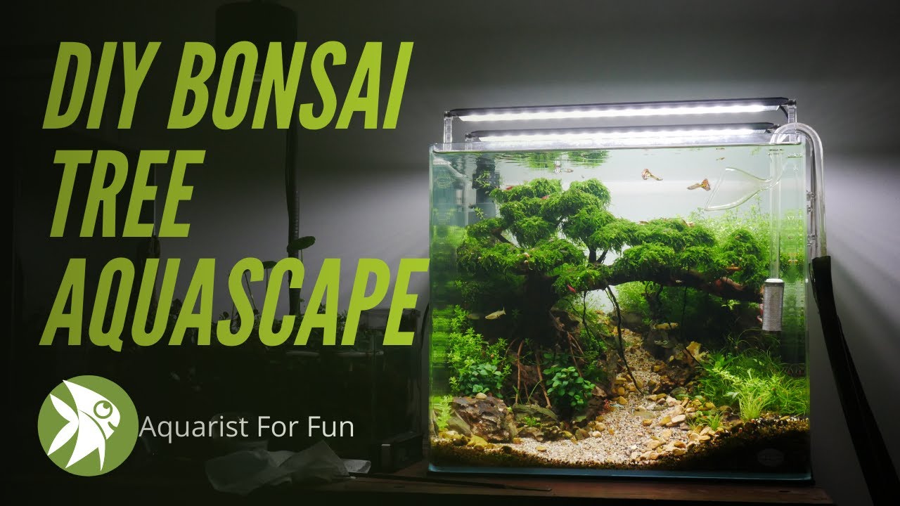 AQUASCAPE TUTORIAL - DIY BONSAI TREE AQUASCAPE PART 2