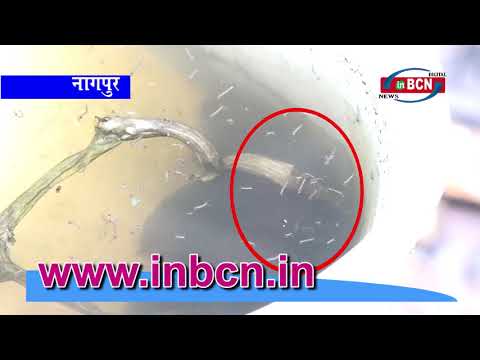 Nagpur NMC Dhantoli Zhone Spried Dengue Mosquto News "InBCN NEWS"